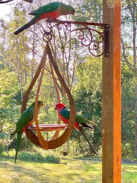 Outdoor Metal Wall Art & Wall Hangings | Made In Australia – Old n Dazed