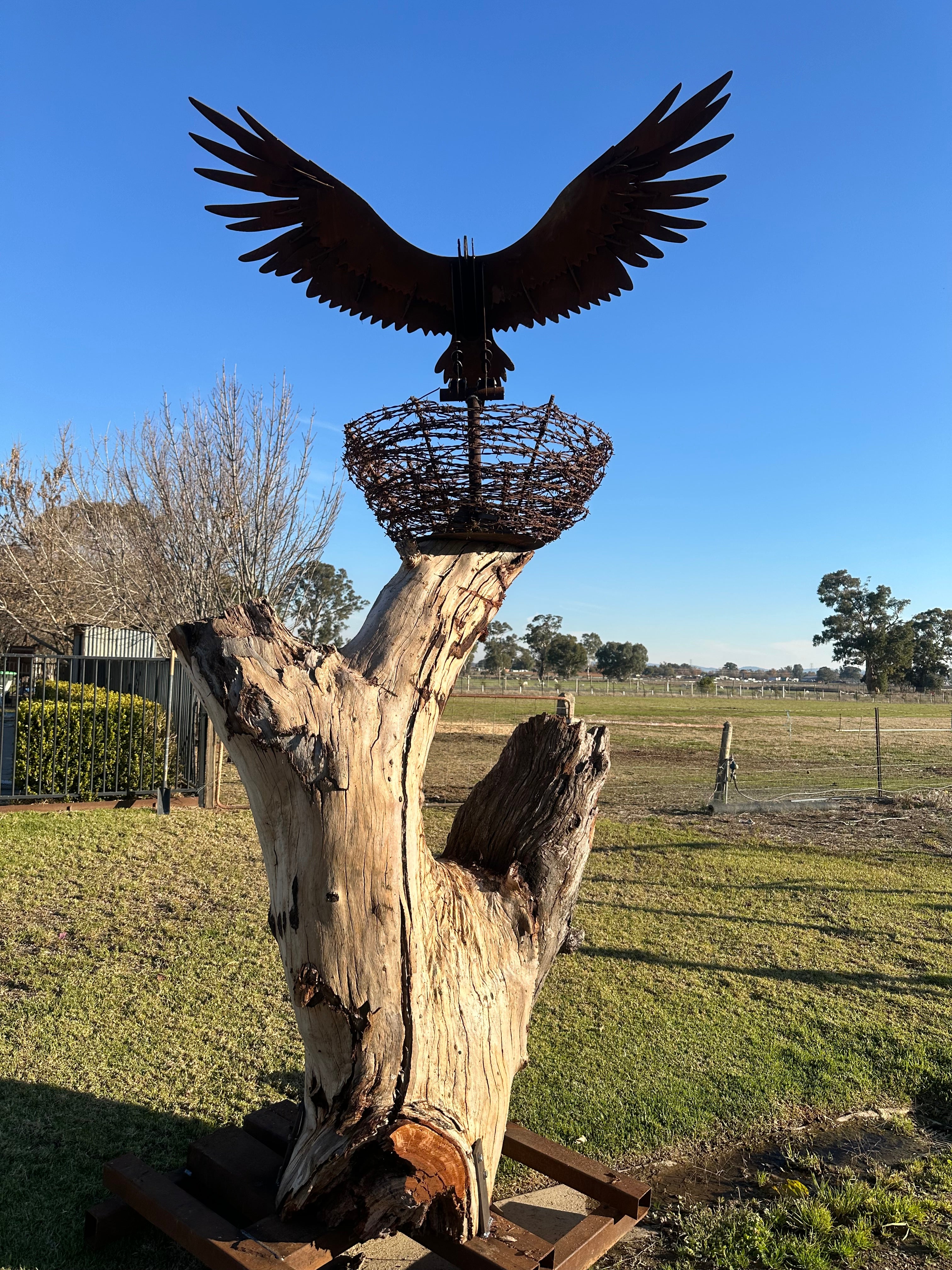 Wedge-Tailed Eagle Landing on Barbed Wire Nest – Majestic Metal Sculpt ...